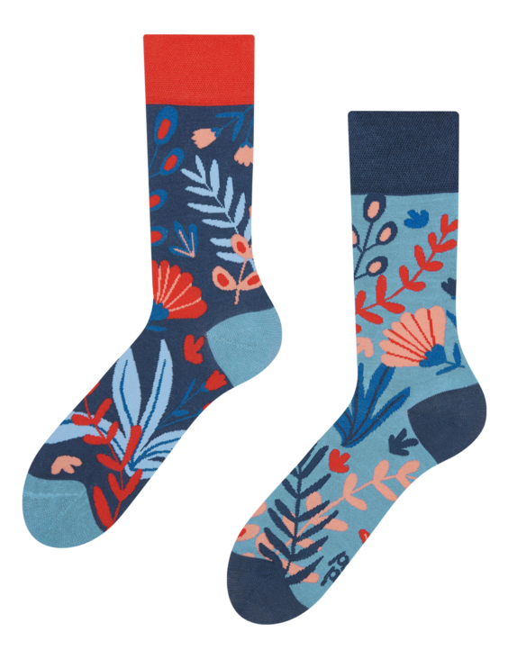 Women's Regular Socks od 2.39 € | Dedoles