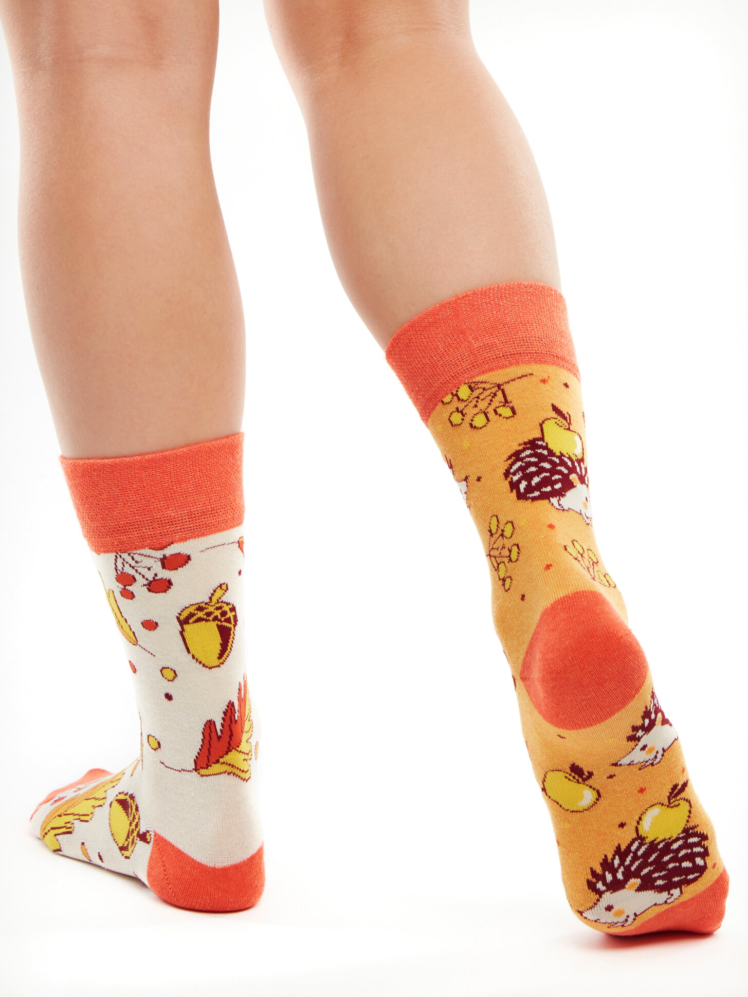 Chaussettes rigolotes en coton recyclé Hérisson d'automne | Dedoles