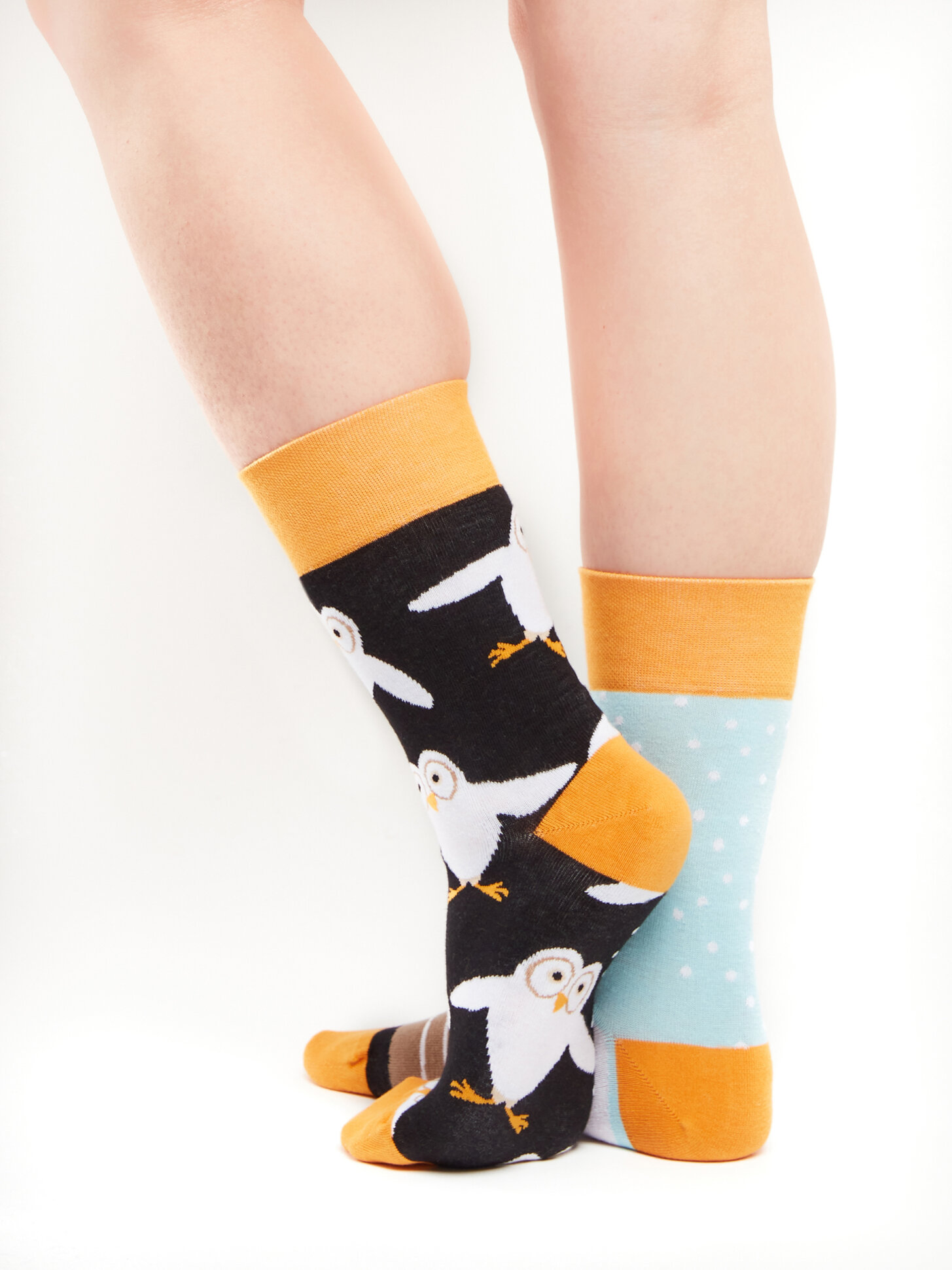 Chaussettes rigolotes Hiboux | Dedoles