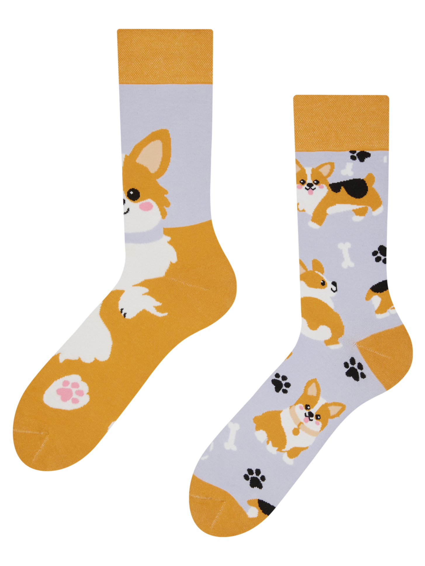Veselé ponožky Pes Corgi | Dedoles