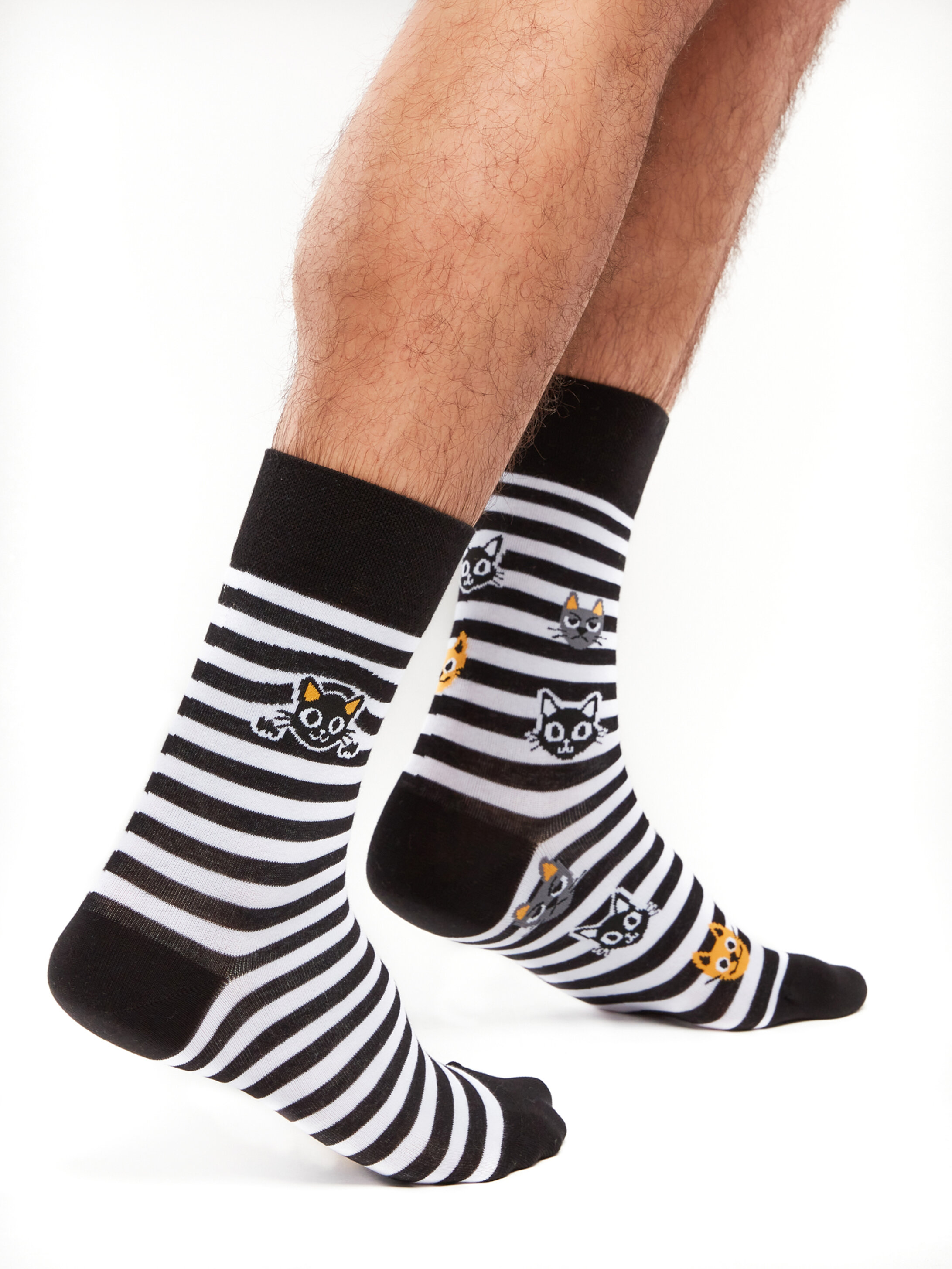 Regular Socks Cats & Stripes | Dedoles