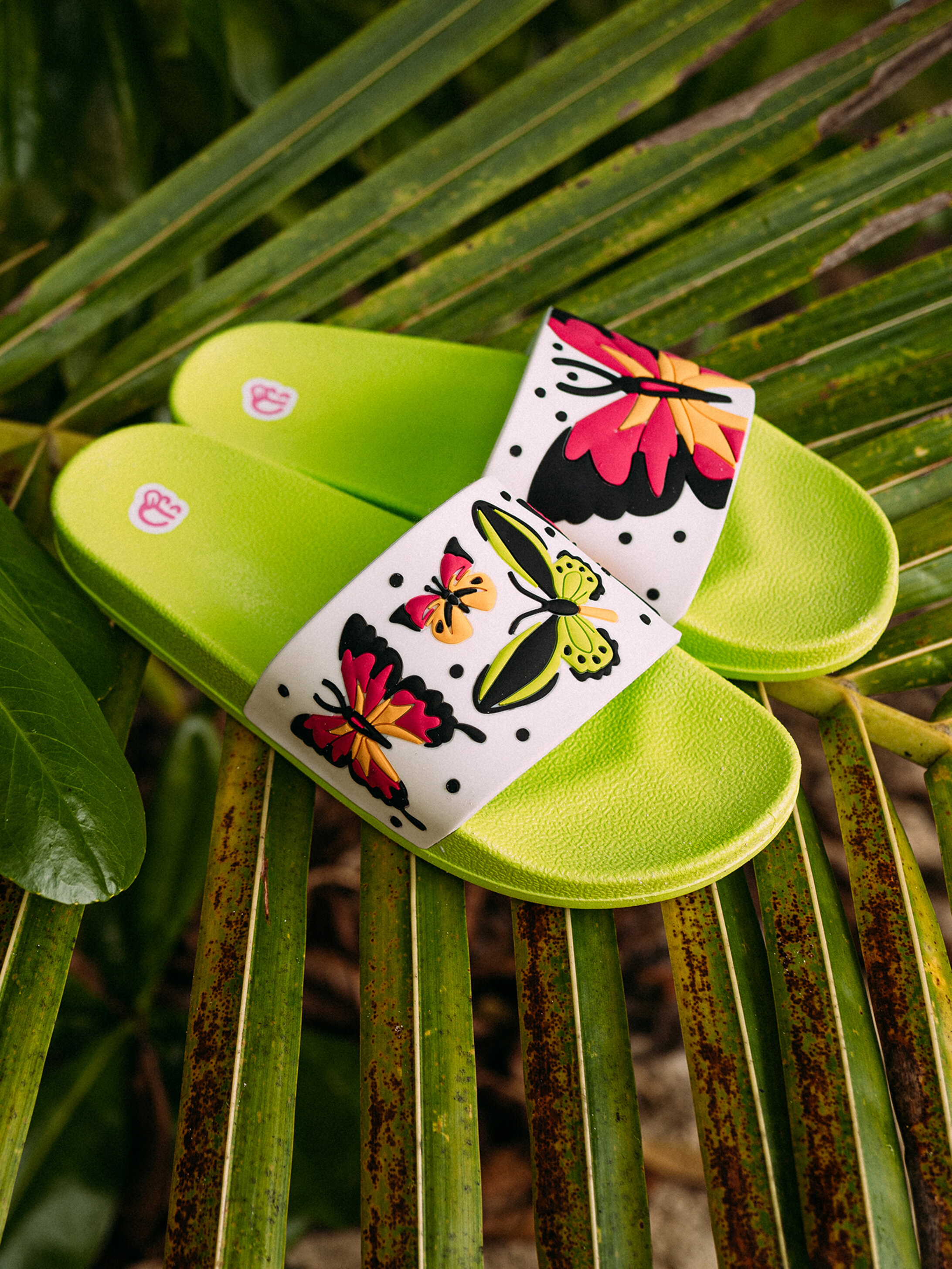 Vrolijke sliders Kleurrijke vlinders | Dedoles