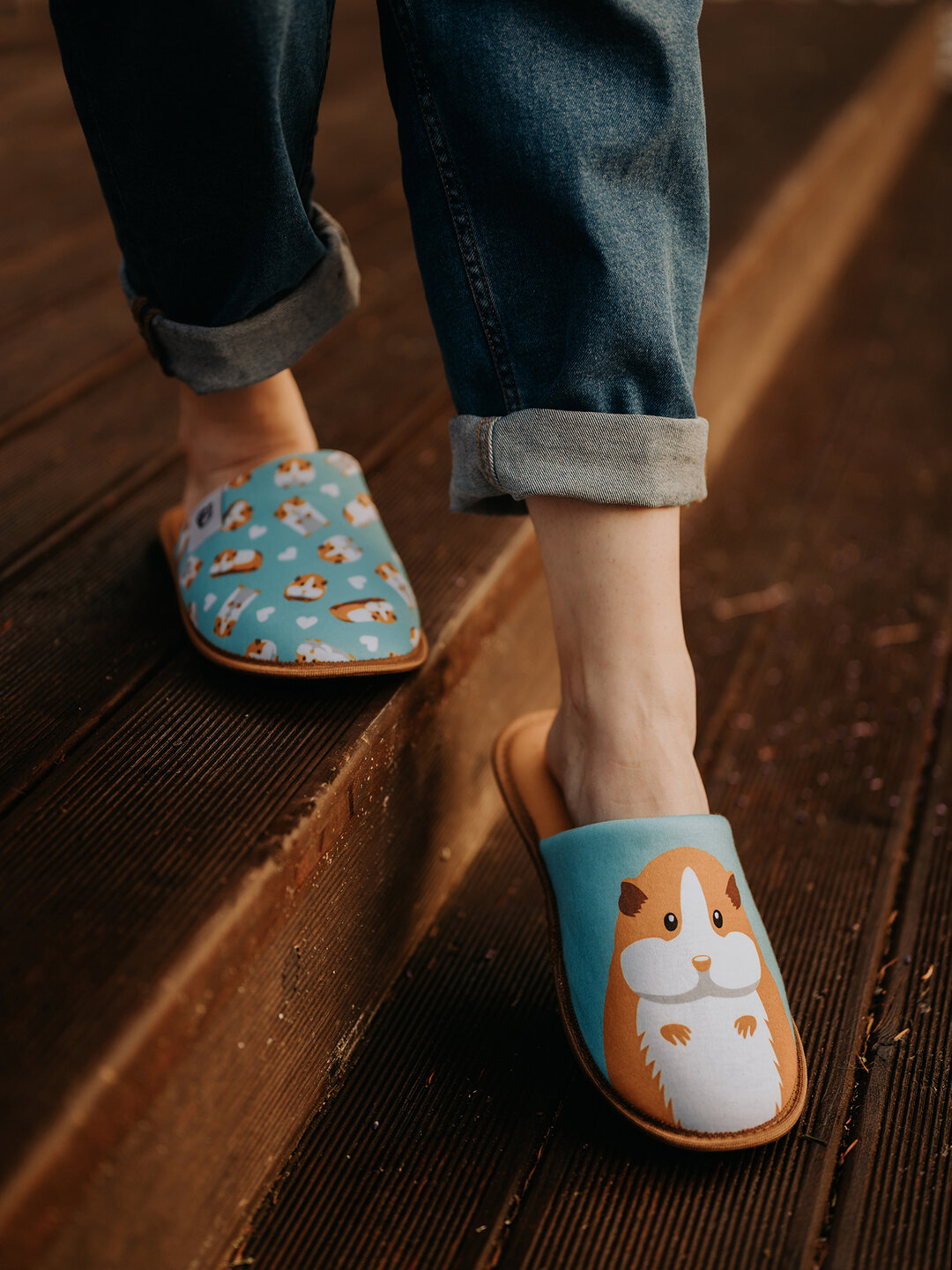 Slippers Guinea Pig | Dedoles