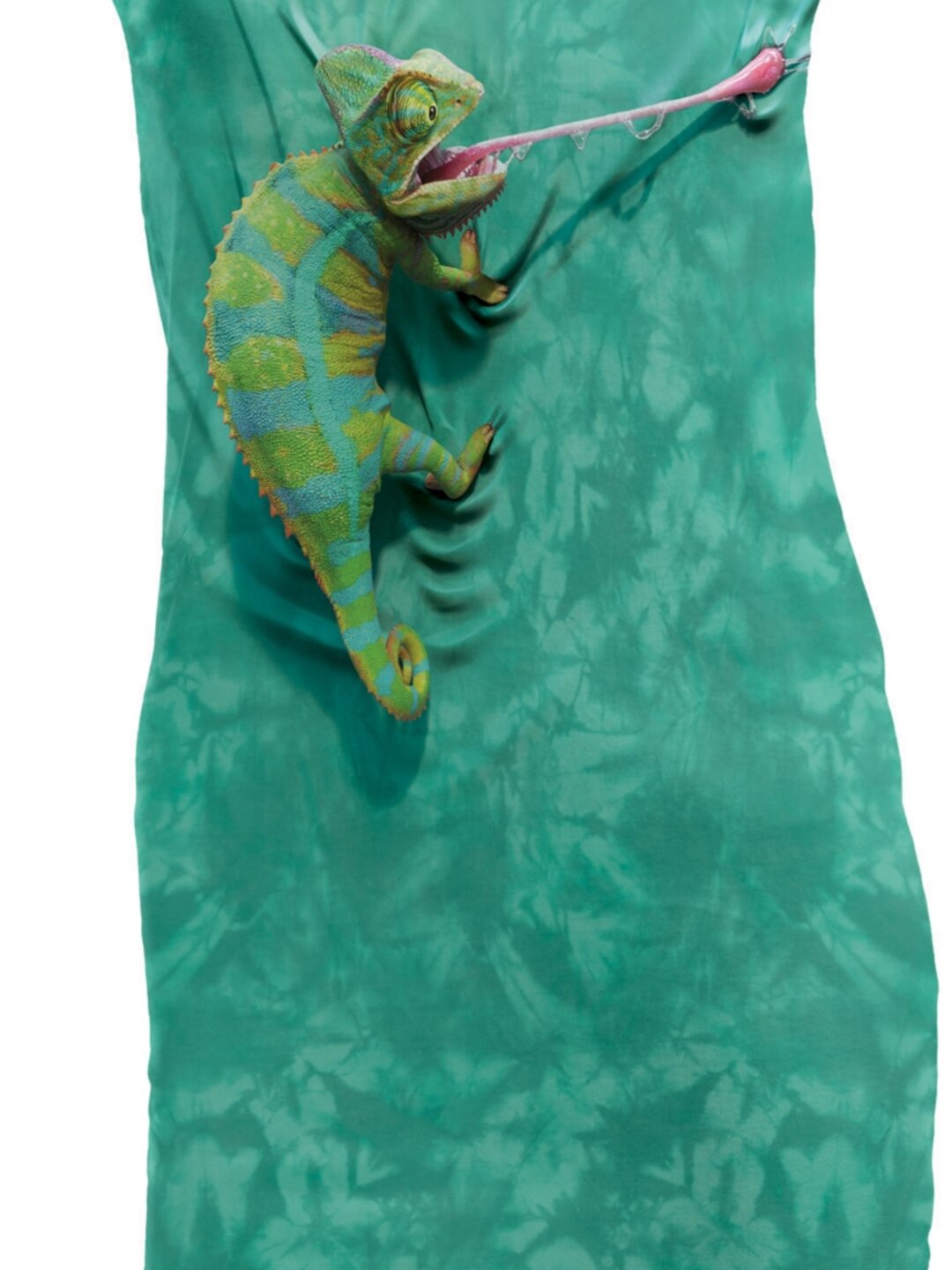 Climbing Chameleon | Dedoles