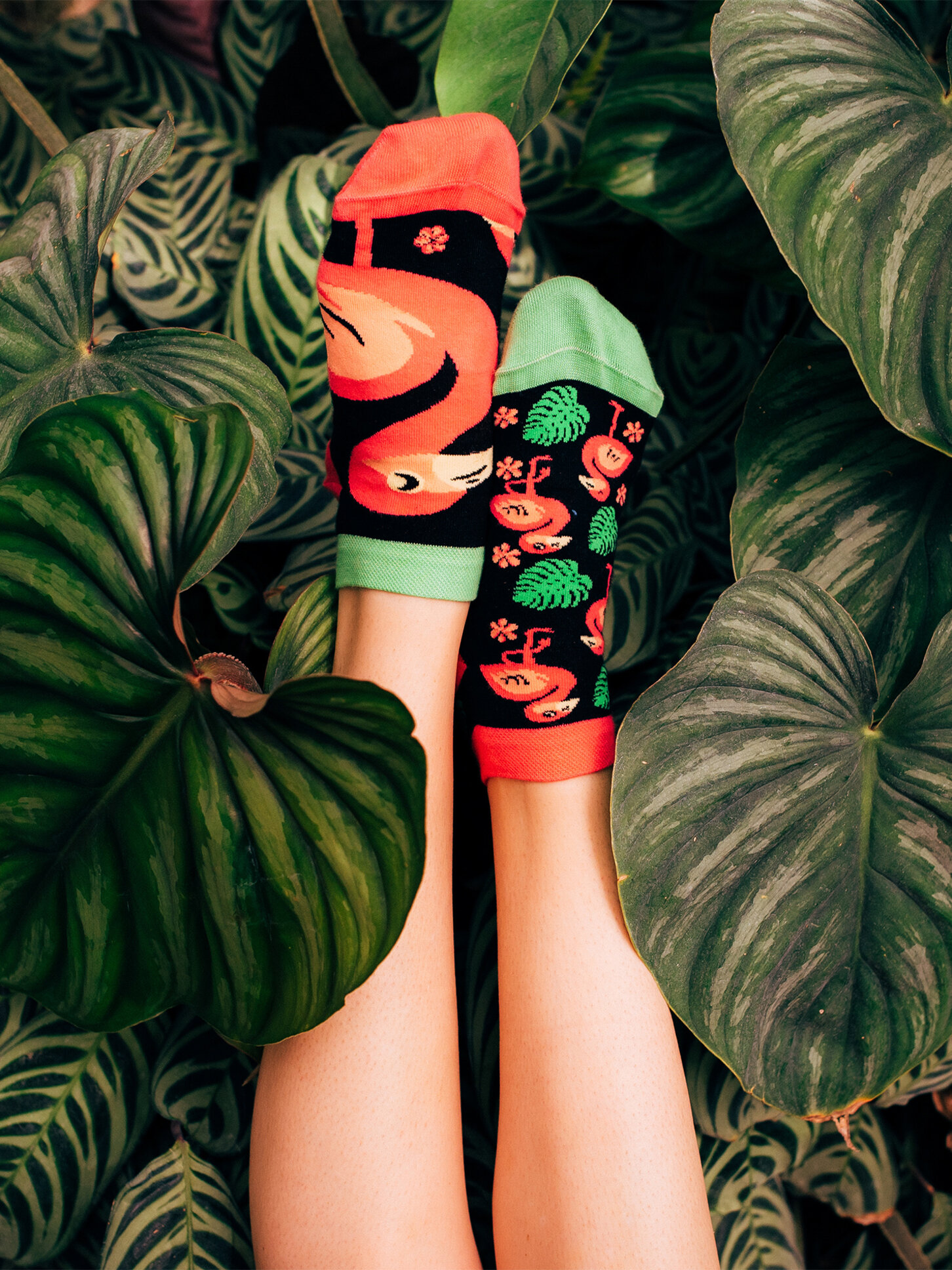 Ankle Socks Flamingos | Dedoles