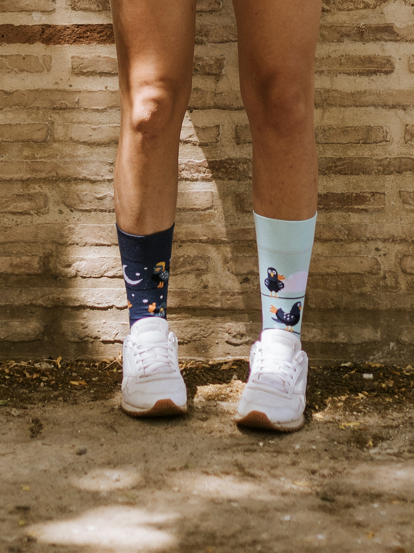 Chaussettes rigolotes Pigeons drôles | Dedoles