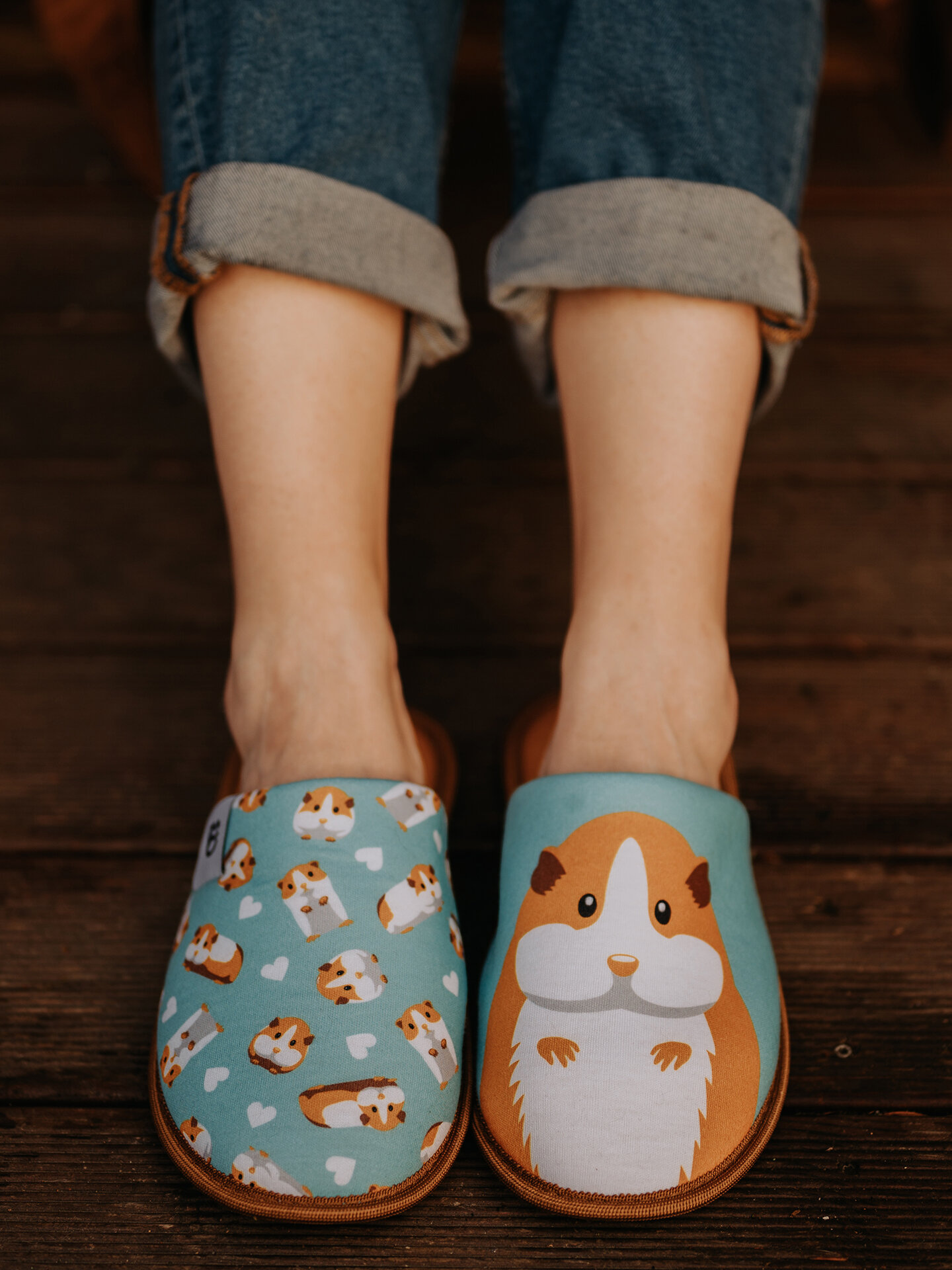 Veselé papuče Morče | Dedoles