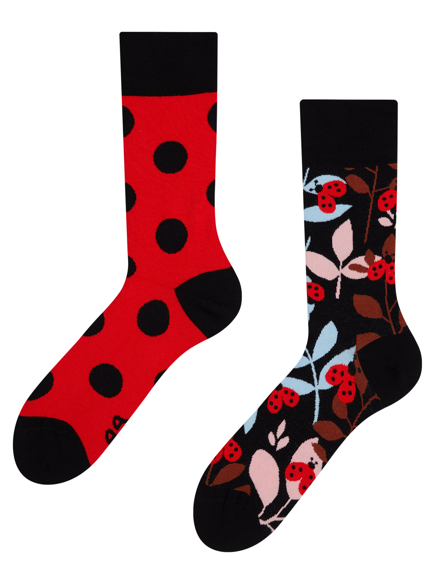 Regular Socks Ladybug | Dedoles