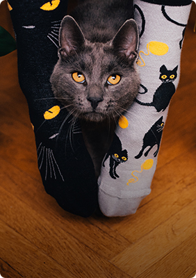 Unique, original and cheerful clothing inspired by you | Dedoles