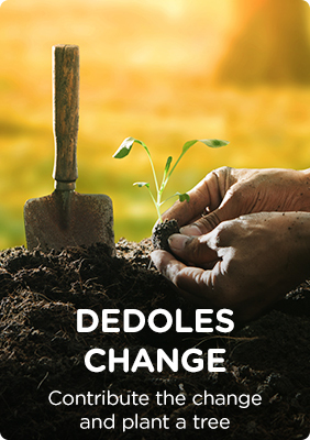 Unique, original and cheerful clothing inspired by you | Dedoles