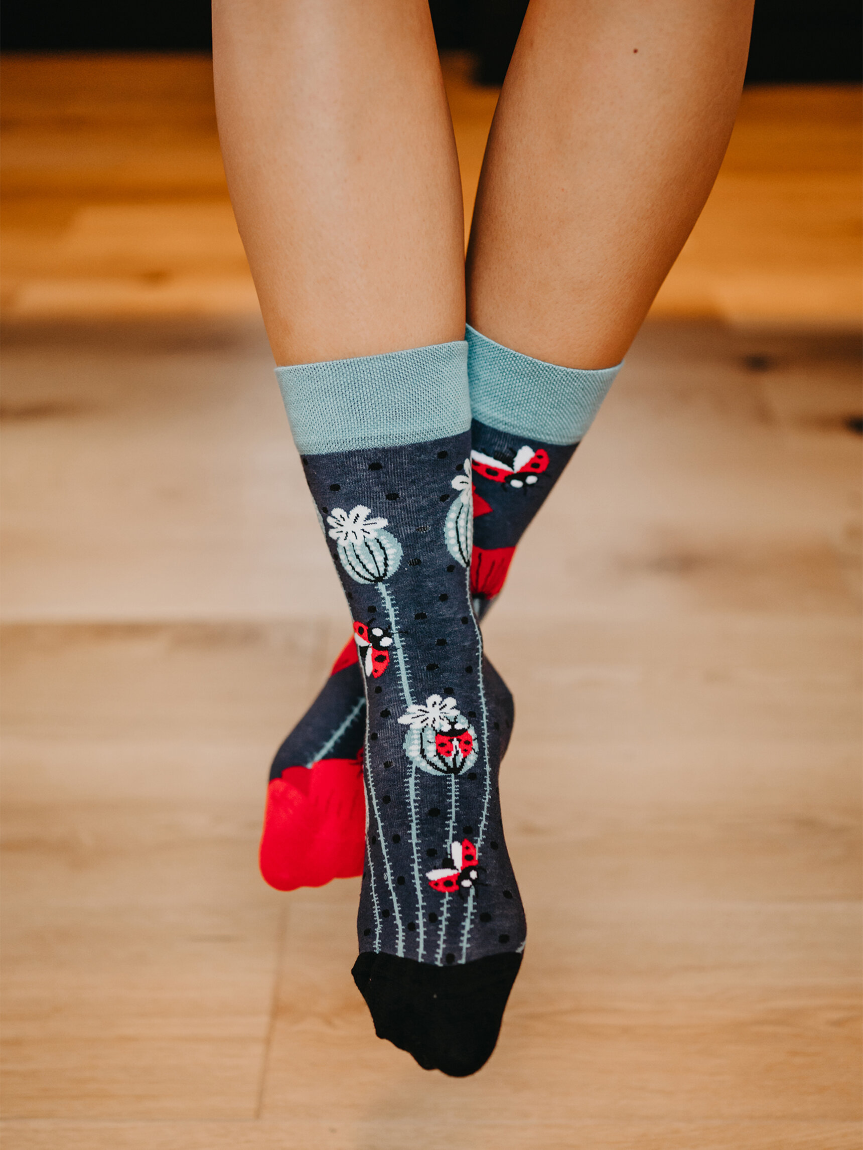 Chaussettes rigolotes Coccinelles et fleurs de pavot | Dedoles