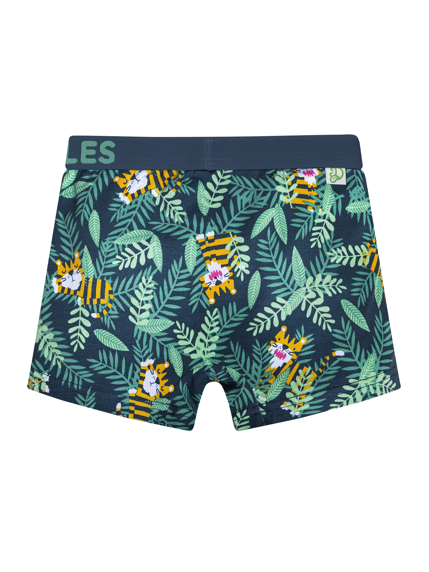 Boys' Boxers Tiger OKT | Dedoles