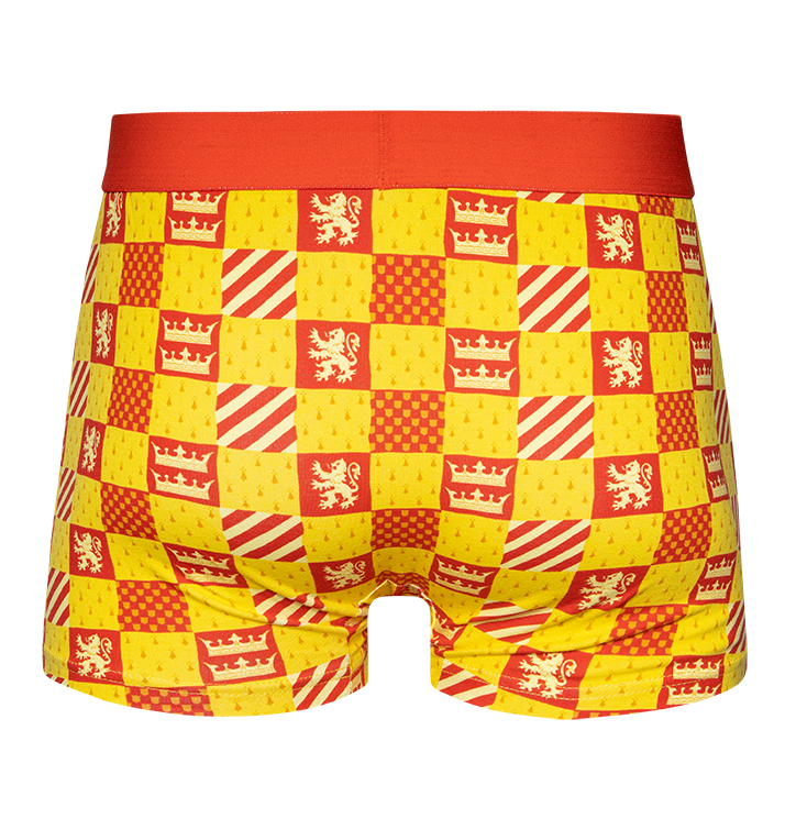 Harry Potter ™ Trunks Gryffindor | Dedoles